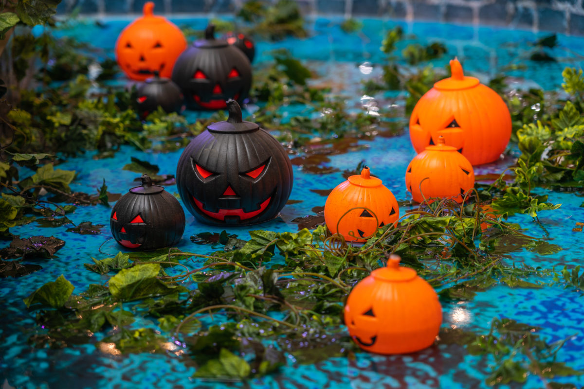How to Dress Up Your Pool for Halloween - Imagine Pools US & Canada